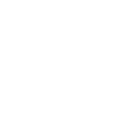 A FEB – Da Pátria ao Front: a jornada dos soldados – Em combate – Museu ...
